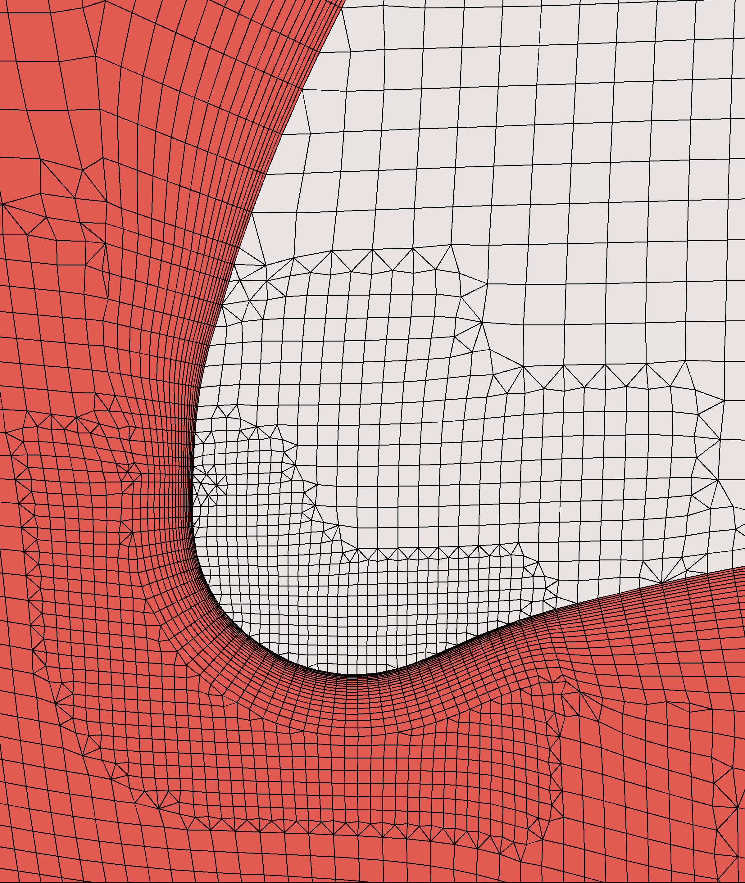 Cambridge Flow Solutions - CAE